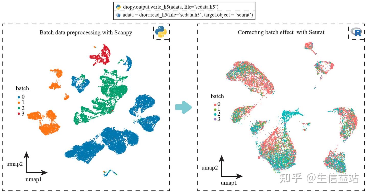 单细胞终极笔记之——Seurat、anndata/h5ad、LOOM、SingleCellExperiment 格式互相转换 - 知乎