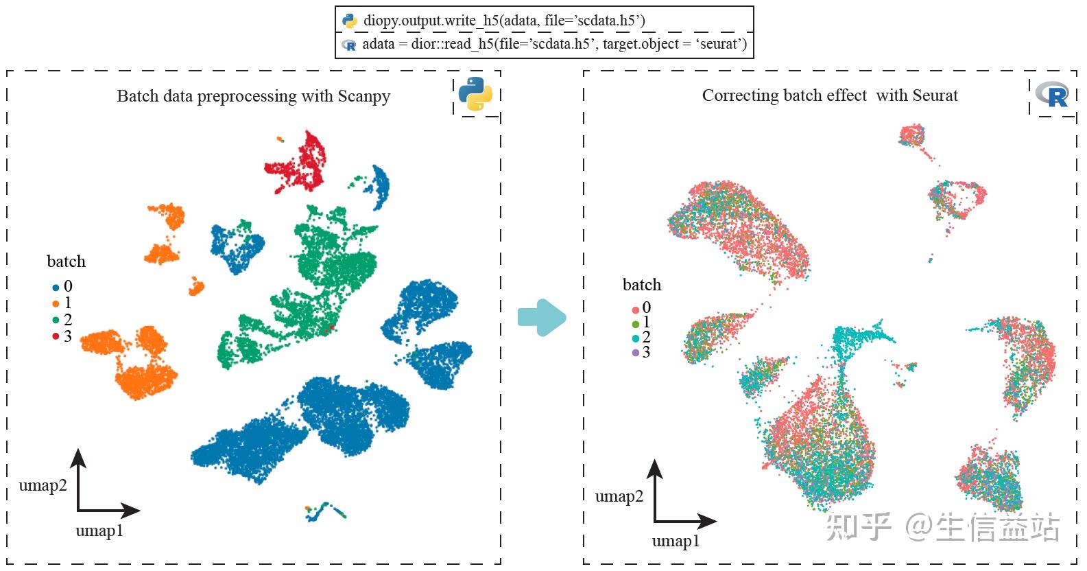 单细胞终极笔记之——Seurat、anndata/h5ad、LOOM、SingleCellExperiment 格式互相转换 - 知乎
