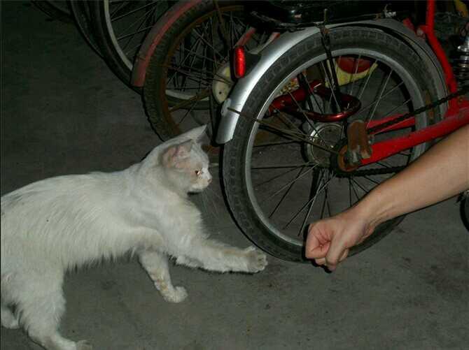 Claude Code: Rules vs Spec vs Skills - 知乎