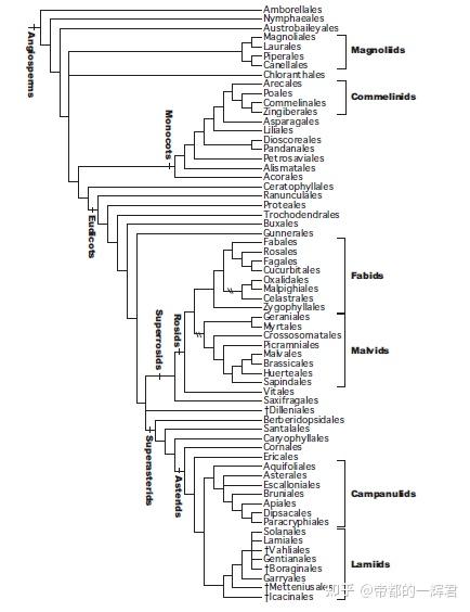 APG IV系统介绍（一） - 知乎
