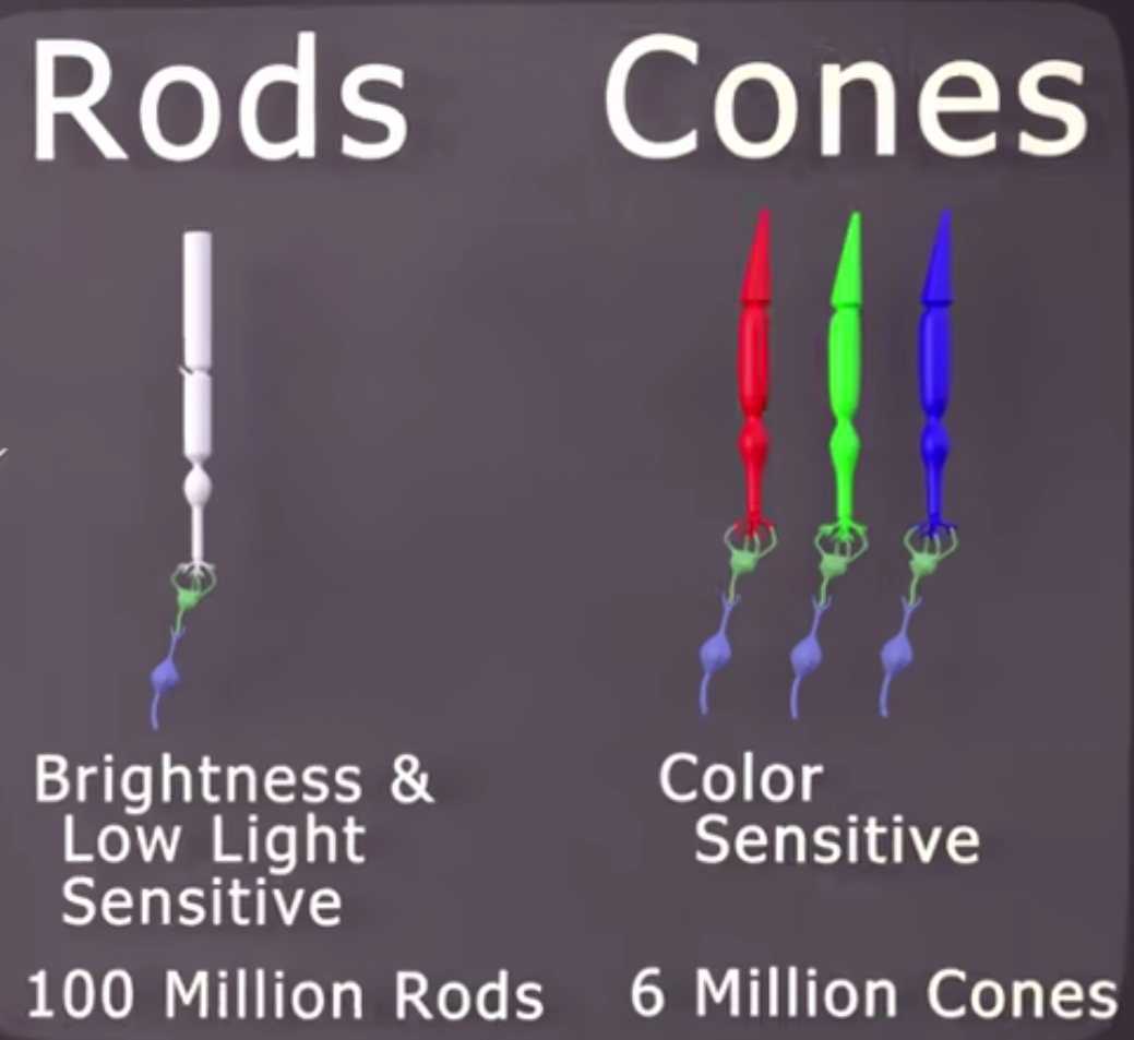 DCT变换和JPEG原理 - 知乎