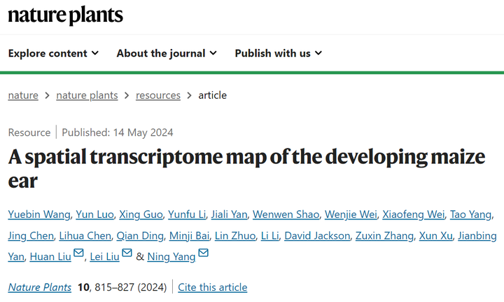 Nat Plants | Stereo-seq助力构建玉米雌穗的空间转录组图谱 - 知乎