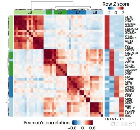 R语言热图绘制入门:从heatmap()到ComplexHeatmap - 知乎