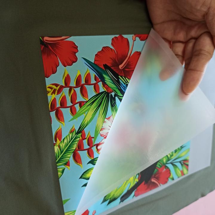 PET Film For DTF Printer（DTF烫画膜） - 知乎