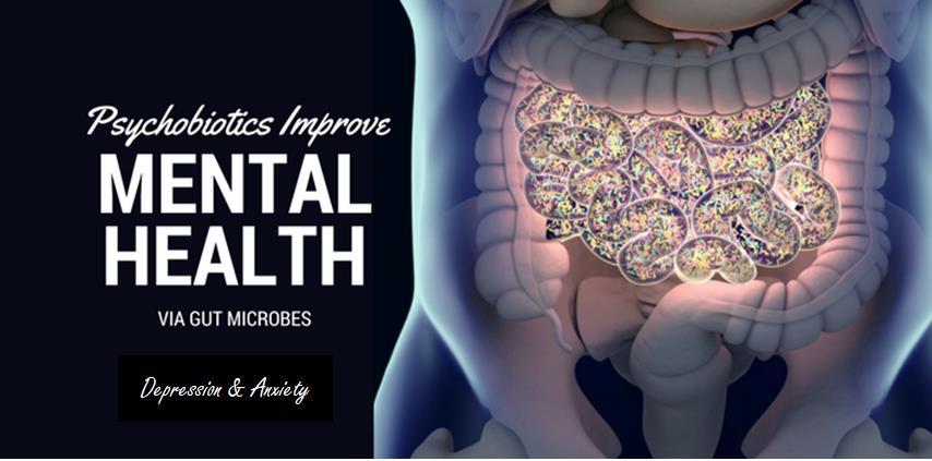 益生菌（七）：Psychobiotics，抑郁症和焦虑症 - 知乎