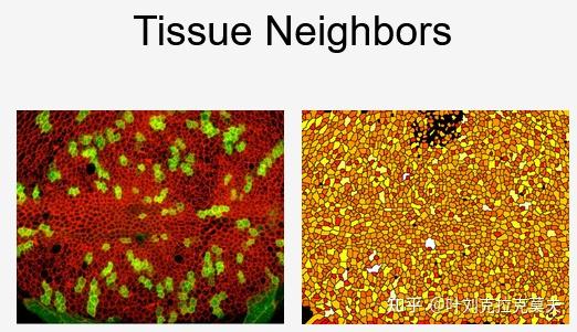 开源科学工程技术软件介绍59 – 细胞图像分析软件CellProfiler - 知乎