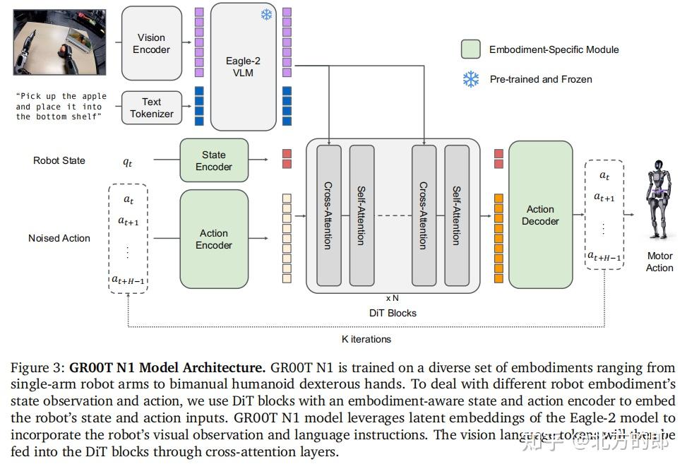 英伟达开源GROOT N1：人形机器人的“通用大脑”, 如何改写智能未来？ - 知乎