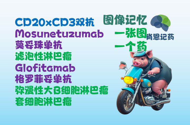 记住所有FDA生物药 | 两款CD20 x CD3双抗 | Mosunetuzumab、Glofitamab | B细胞淋巴瘤 - 知乎