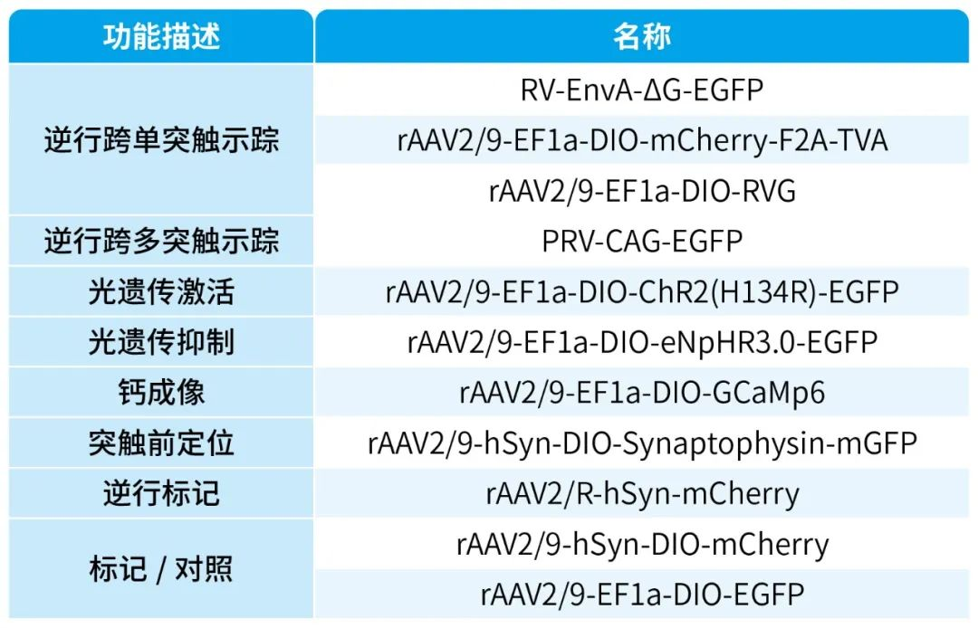 IF=14.7【客户文章】Nat Commun︱中国科学技术大学刘际研究员团队揭示肾上腺非依赖性的应激血糖代谢调控的新机制 - 知乎