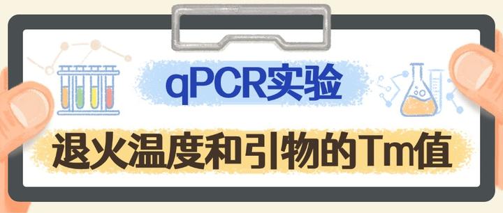 qPCR程序退火温度和引物的Tm值有什么关系？ - 知乎