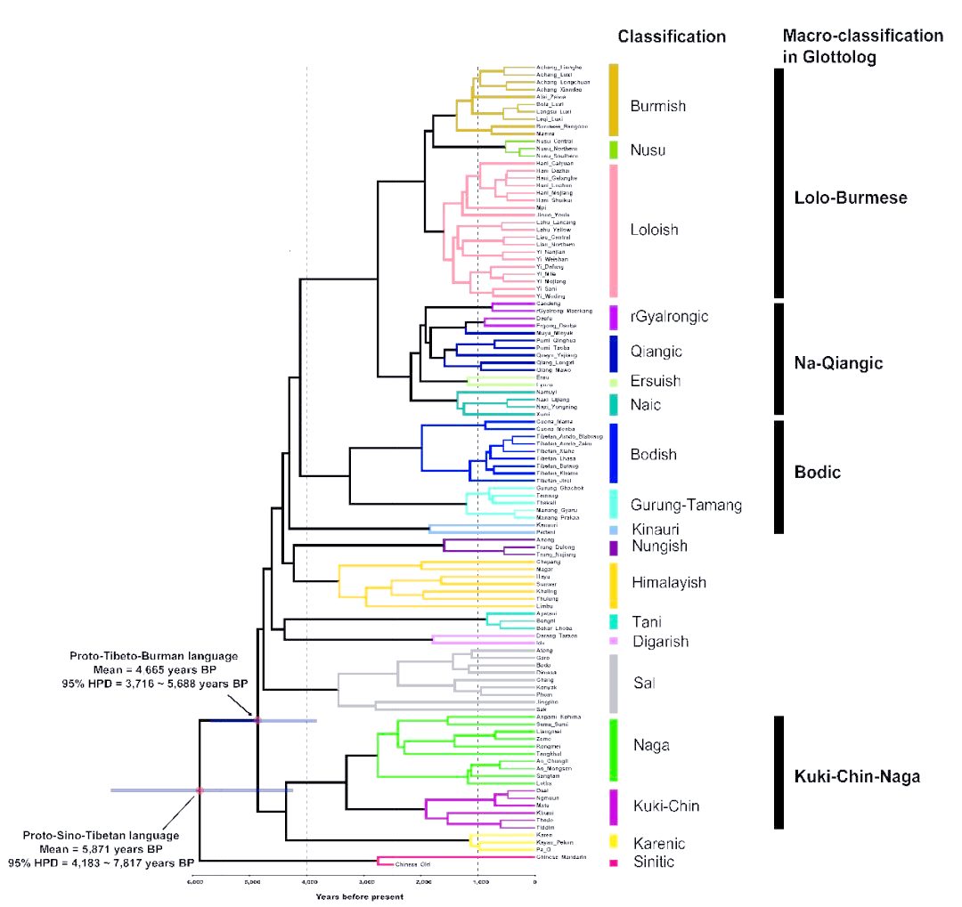 分子人类学所见：藏缅语系确实起源于仰韶文化 - 知乎
