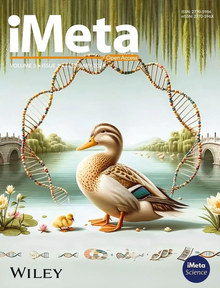 iMeta期刊 第3卷第1期 在线正式发布 - 知乎