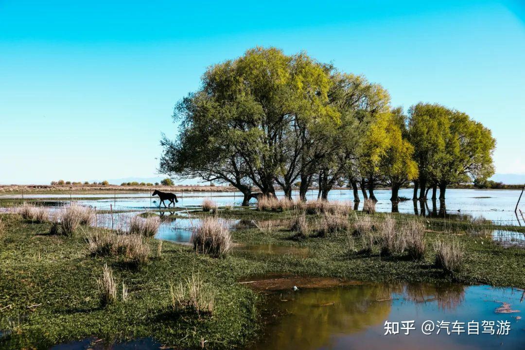 新疆自驾游｜G219 塔城段，探草原丝路重镇 - 知乎