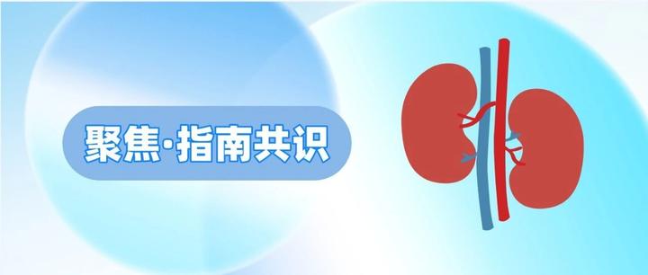 RDN时代来临？多个RDN共识密集发布，要点速览 - 知乎