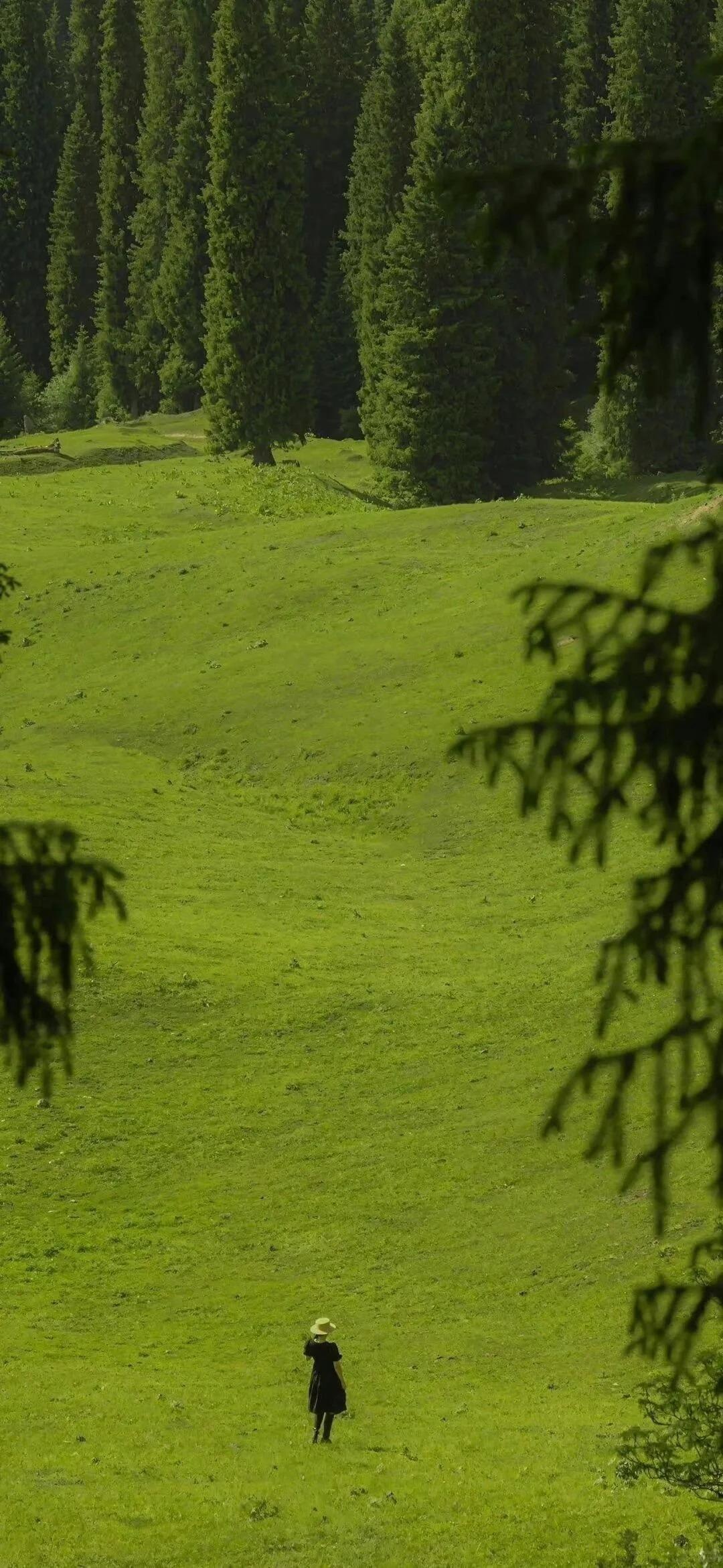有哪些 4K 高清壁纸的网站推荐？ - 知乎