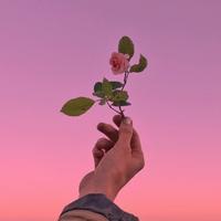 弥漫大B淋巴瘤治疗方法，双靶点新药DZD8586片 - 知乎