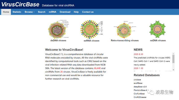 数据库 | VirusCircBase：环状 RNA病毒数据库 - 知乎