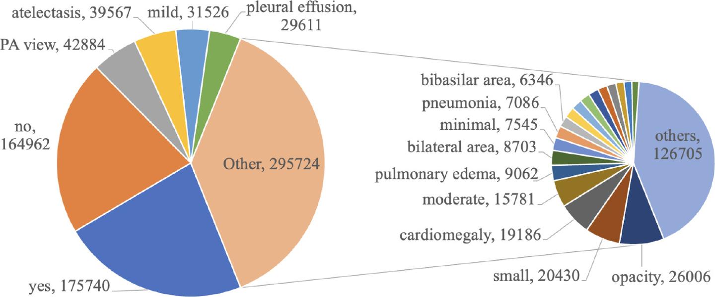 Medical-CXR-VQA 医学视觉问答数据集介绍 - 知乎