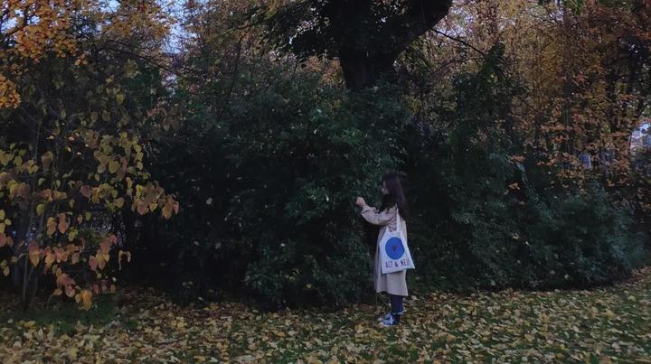 Pivot学员说 | GPA3.5，从贸大到QS前十，我的申请之路 - 知乎