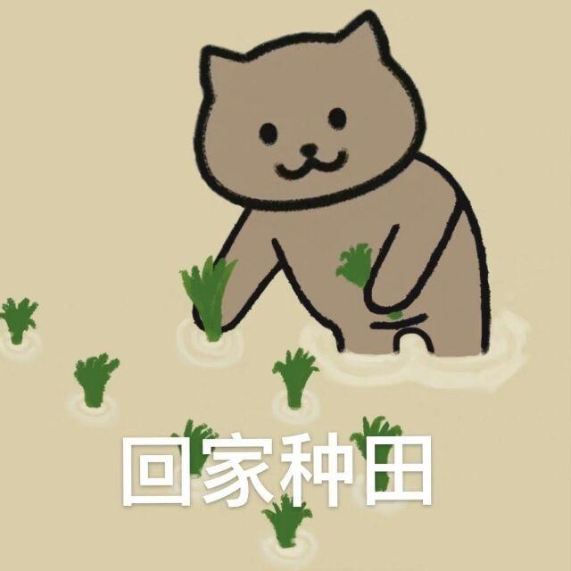 23一战跨考11408浙大计算机考研经验贴442分 - 知乎