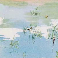 Policy Space Response Oracle (PSRO)系列工作总结 - 知乎