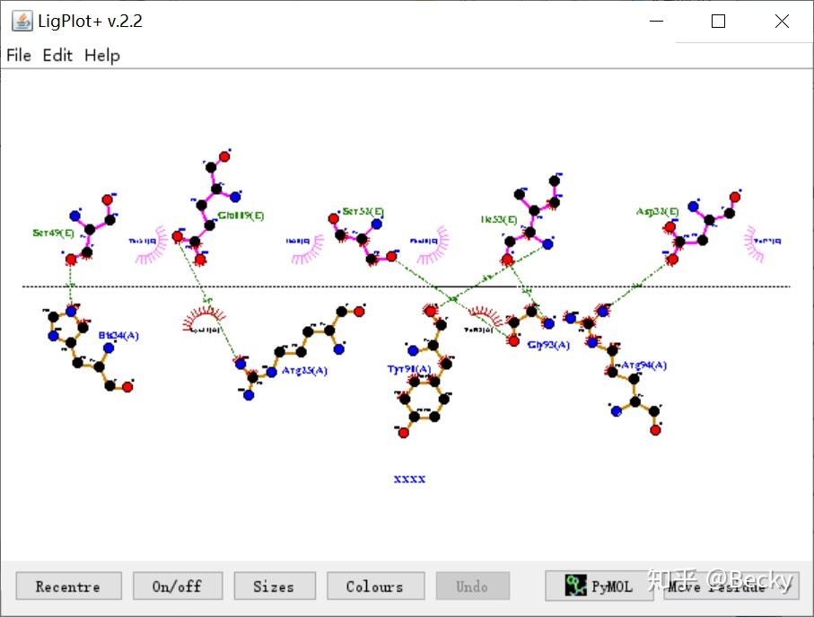 蛋白-蛋白作用分析so easy - Ligplot+ - 知乎