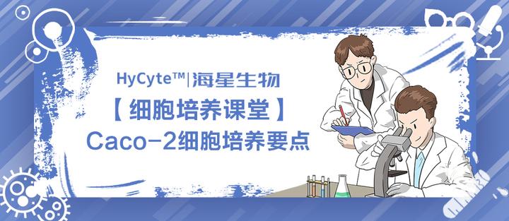 人结直肠腺癌细胞(Caco-2)培养要点 - 知乎