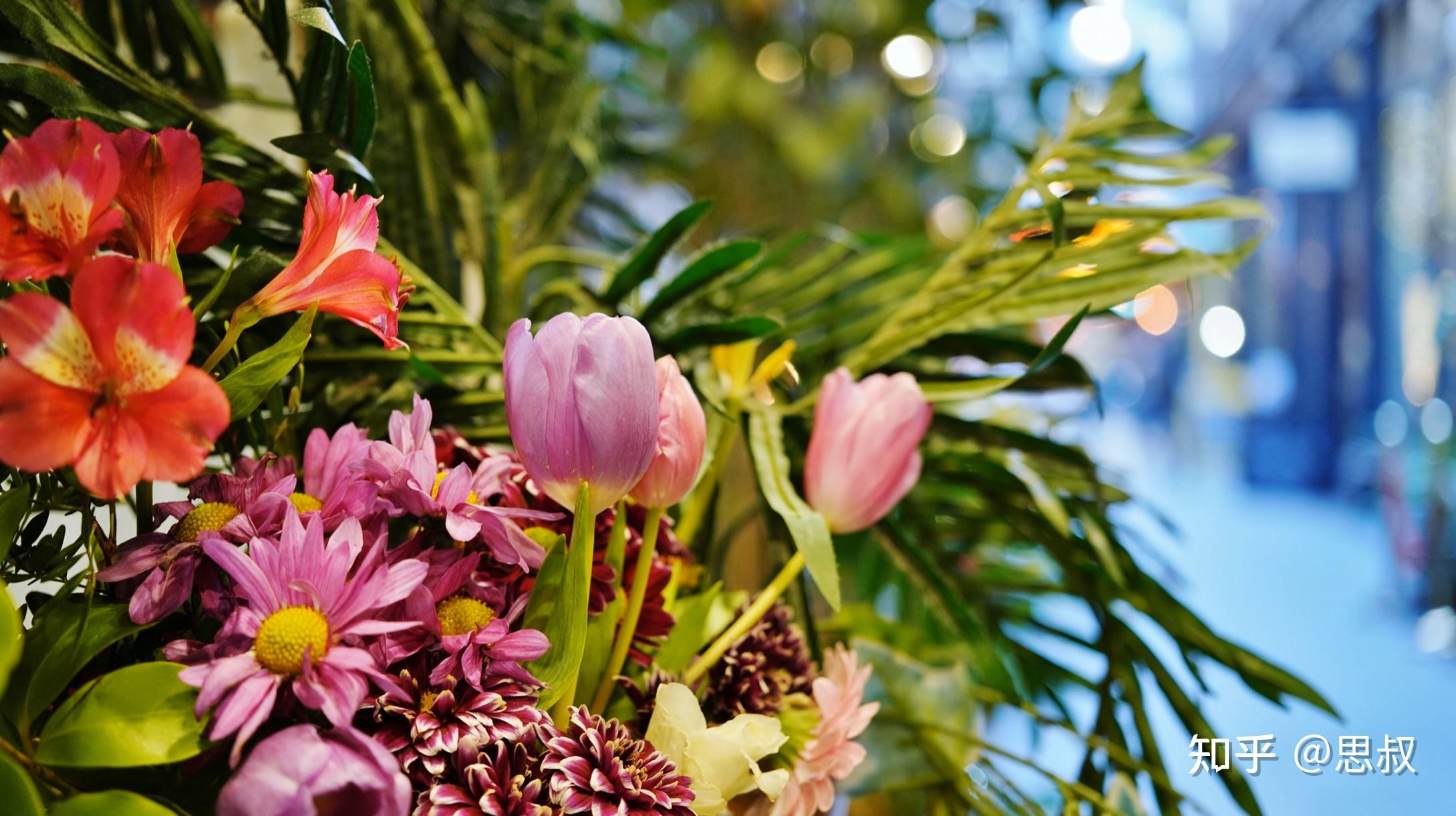 如何评价索尼 FE 24-50mm F2.8 G 镜头？ - 知乎