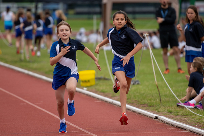 IB，AP，A-level三大主流国际高中课程IB课程到底值不值得一学？ - 知乎