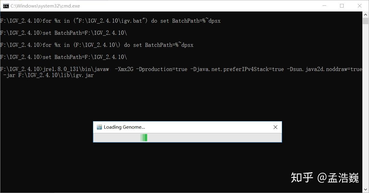 生物信息学100个基础问题 —— 第29题 如何使用IGVTools对mapping结果进行可视化？ - 知乎