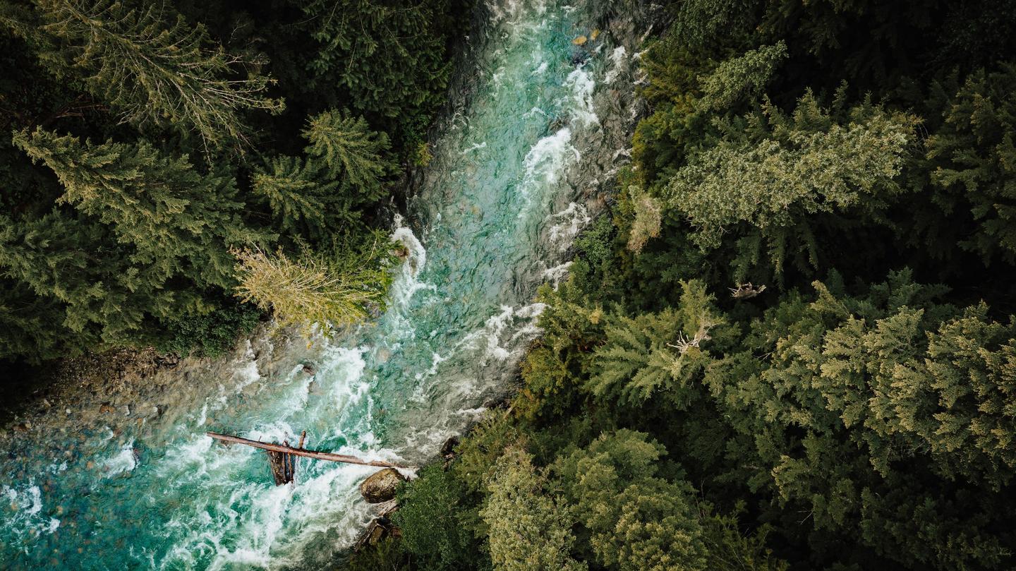 从DDPM到DALL-E2和Stable Diffusion——扩散模型相关论文阅读（3） - 知乎