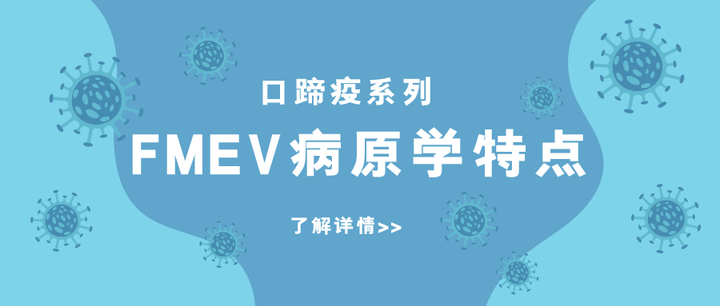 口蹄疫病毒（FMDV）病原学特点简介 - 知乎