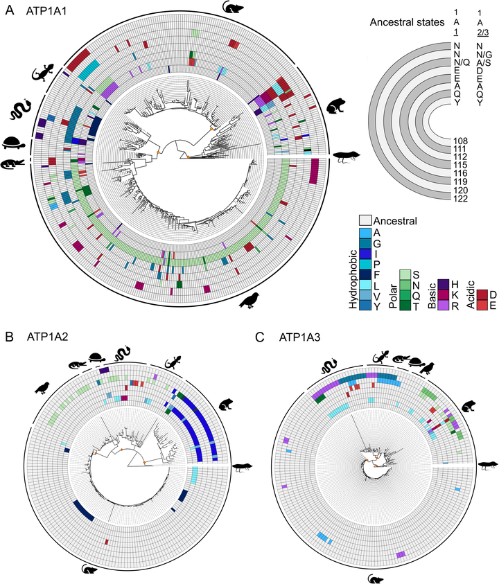 evol+biophys/biochem近期文献选读（1） - 知乎
