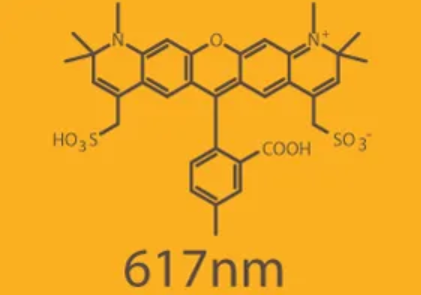 市场上有哪些常见的近红外光荧光染料？