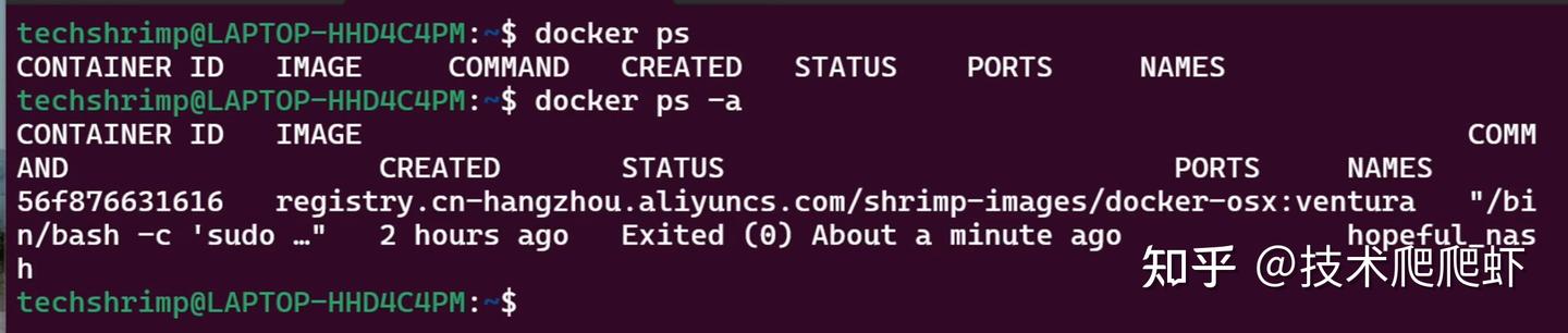 Mac虚拟机, 在Win的Linux子系统的Docker里运行MacOS，操作系统大套娃 - 知乎