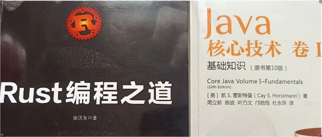 整体把握（javaandrust 知乎 