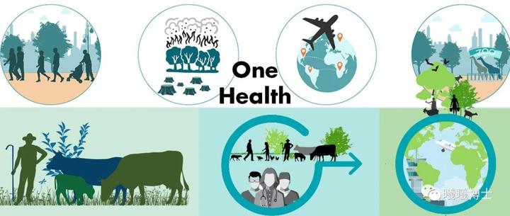 什么是One Health? 聊聊「同一健康」理念在养猪业中的角色 - 知乎