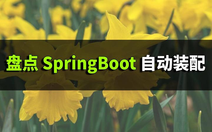 盘点 Springboot 自动装配 知乎