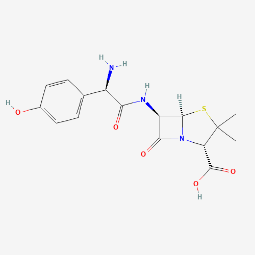 Amoxicillin；β-内酰胺类抗生素 - 知乎