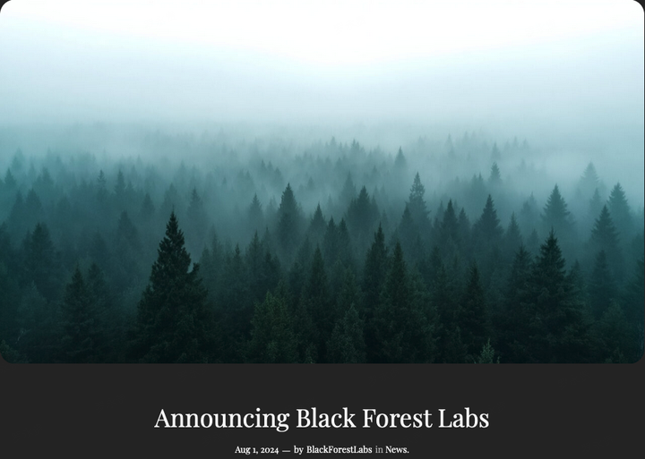 宣布黑森林实验室-Announcing Black Forest Labs - 知乎
