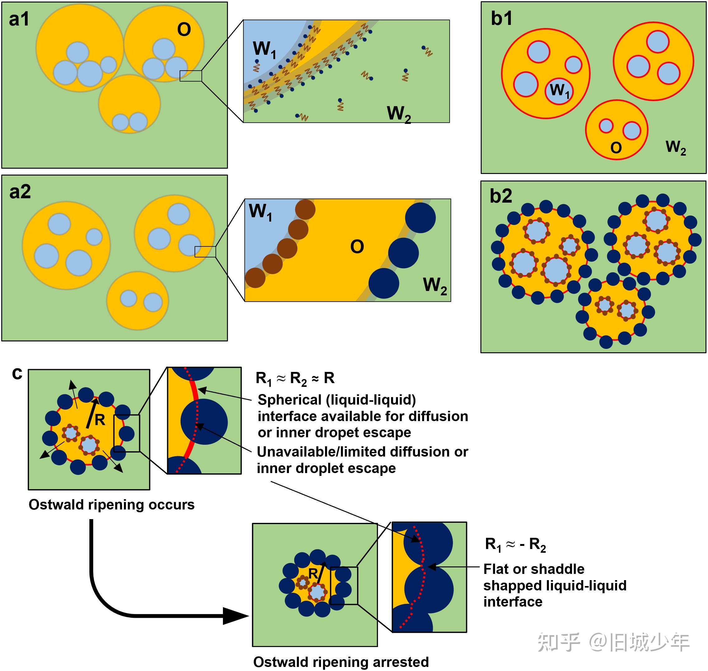 Pickering 双重乳液稳定化：基本概念、基本原理、制备方法、潜在应用、挑战和未来展望 - 知乎