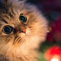 R + geneHapR 基因单倍型分析全流程指南 - 知乎