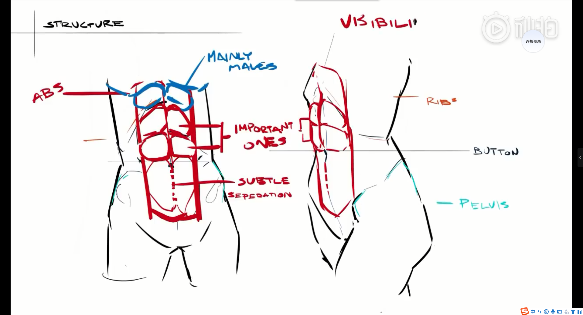 #绘画教程# 腹部肌肉教程 Sinix Design - 知乎