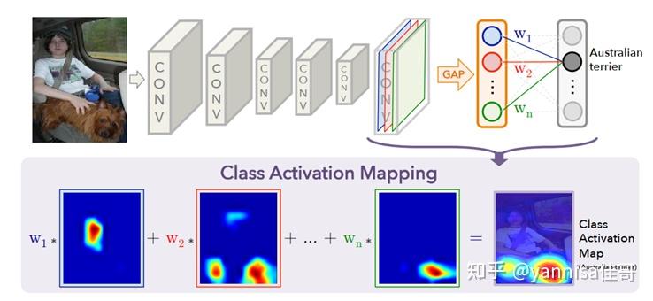 Self-supervised Equivariant Attention Mechanism for Weakly Supervised ...