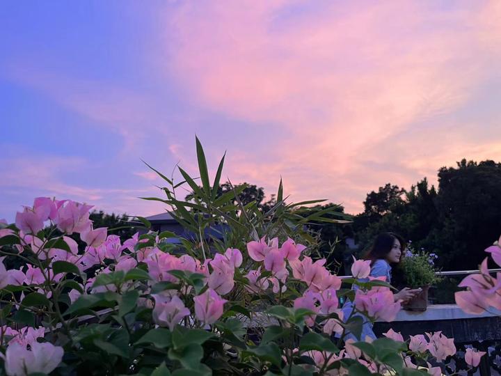 nginx proxy_pass - 知乎