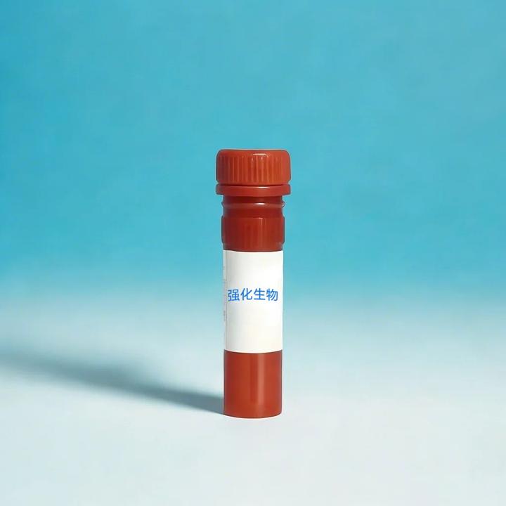 CellROX Deep Red Reagent, for oxidative stress detection 氧化应激检测用探针，可穿透 ...