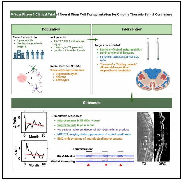 1.8 脑科学日报 | Trends in Neurosci：胰腺癌与神经系统相互作用 - 知乎