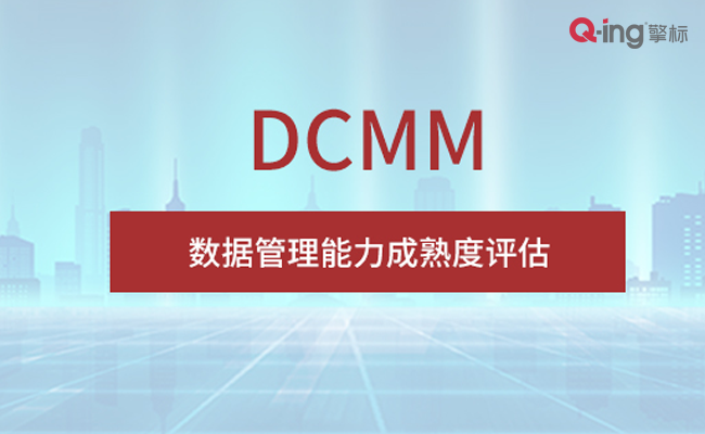 DCMM数据管理能力成熟度评估咨询工作计划 - 知乎