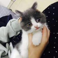 entrypoint.sh 的最后一行 exec "$@" 起什么作用？ - 知乎