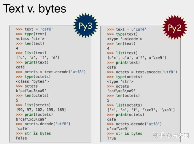 Python 编码总结 - 知乎